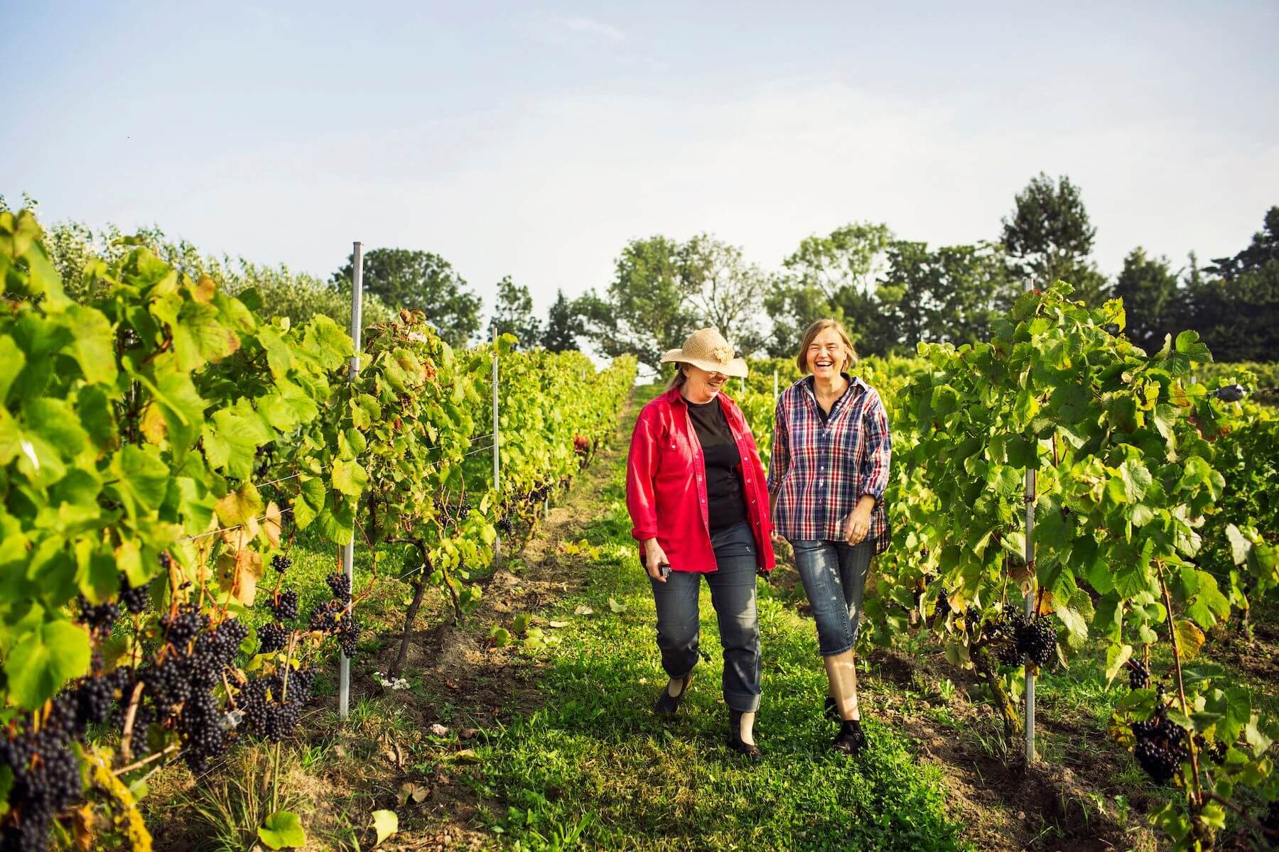 Succession Success: How to Smooth the Transition Between Generations at ...